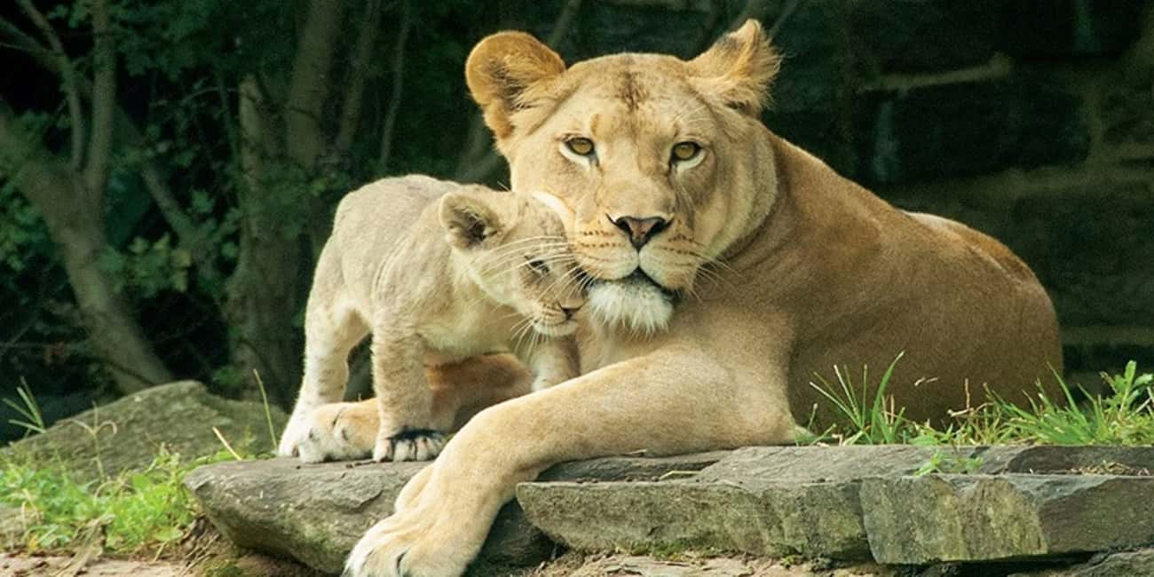 Philadelphia: Go City All-Inclusive Pass w/ 30+ Attractions | GetYourGuide