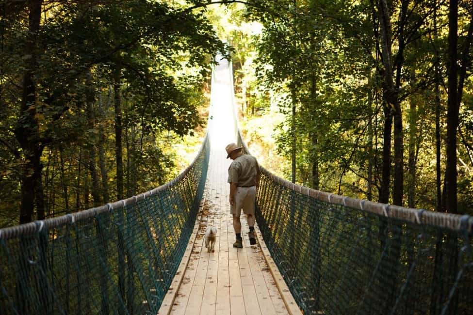 Foxfire Mountain: Hiking & Swinging Bridge Family Adventure | GetYourGuide