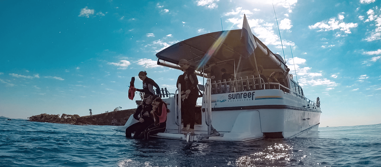 Mooloolaba: Snorkel with Turtles Mudjimba Island | GetYourGuide