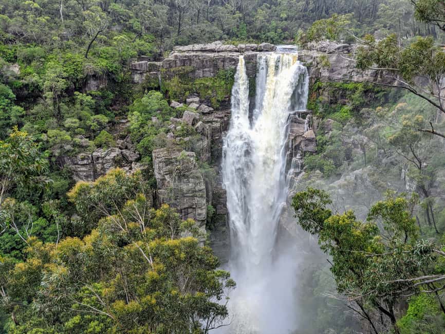 WILD Wombats and Kangaroo Experience, All Inclusive, Sydney | GetYourGuide