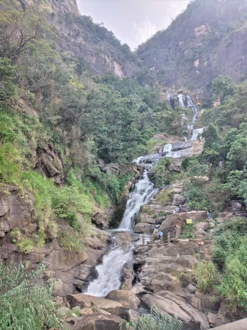 From Ella: Ella Unfogettable Day tour & Train Ride Tour | GetYourGuide