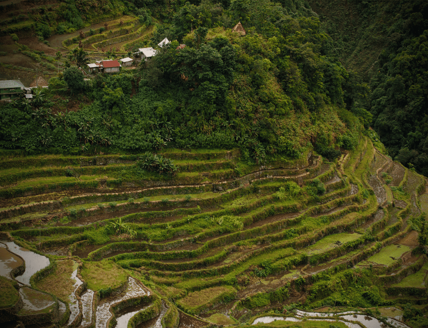 Manila: 3-Day Sagada, Baguio, & Banaue Rice Terraces Tour | GetYourGuide