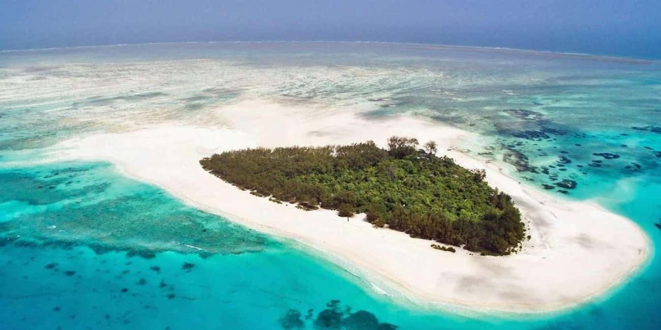 Zanzibar: Mnemba Atoll Private tour | GetYourGuide