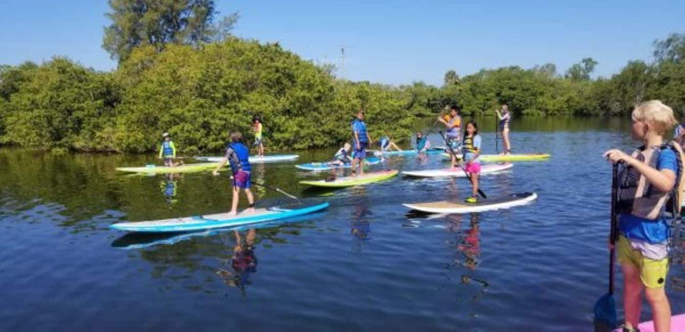Siesta Key: Mangrove Kayak or Paddleboard Tour | GetYourGuide