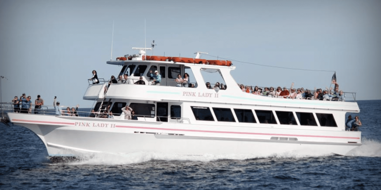 Boothbay: Lighthouses & Islands Harbor Cruise | GetYourGuide