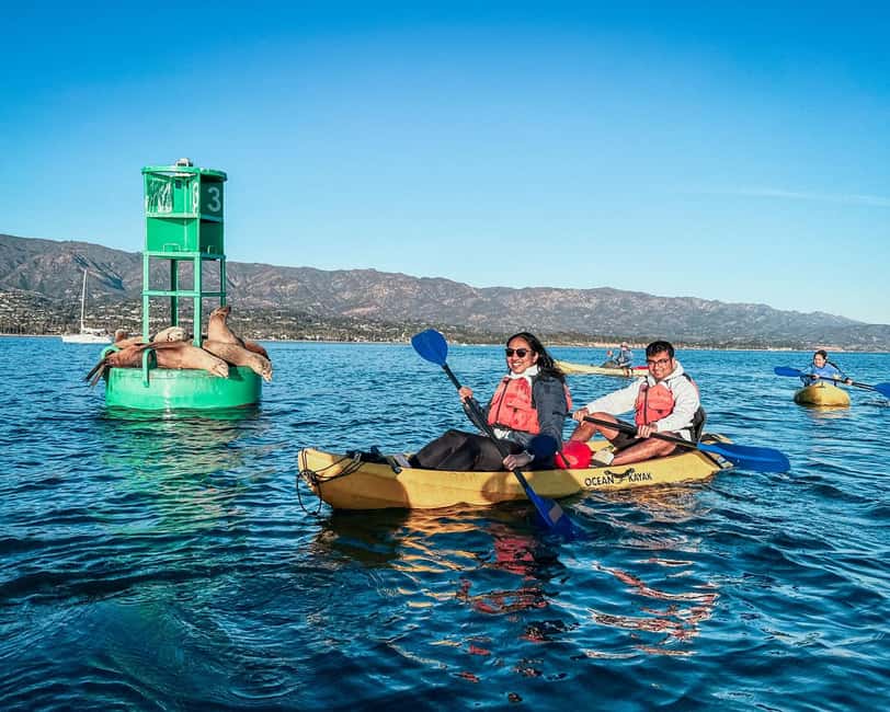 Santa Barbara Harbor: Wildlife Kayak Tour (2 Hours) | GetYourGuide