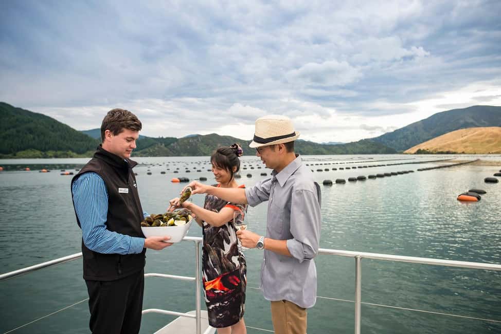 From Picton: Marlborough Sounds Cruise with Seafood | GetYourGuide