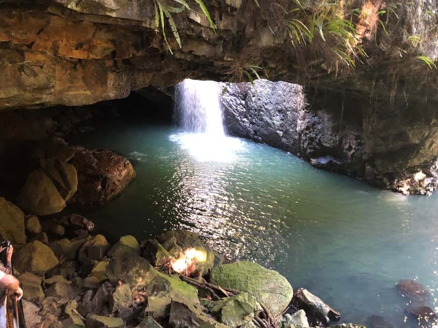 Brisbane: Springbrook and Mt Tamborine Glow Worm and Skywalk | GetYourGuide