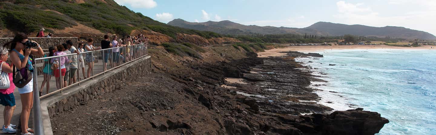 Honolulu: Oahu Island Highlights Tour with Multiple Stops | GetYourGuide