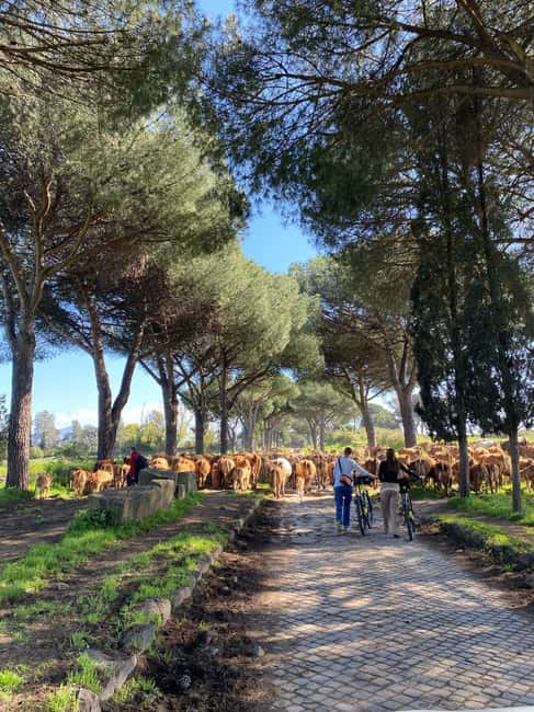 Rome: Appian Way Highlight e-Bike tour with Private Transfer | GetYourGuide