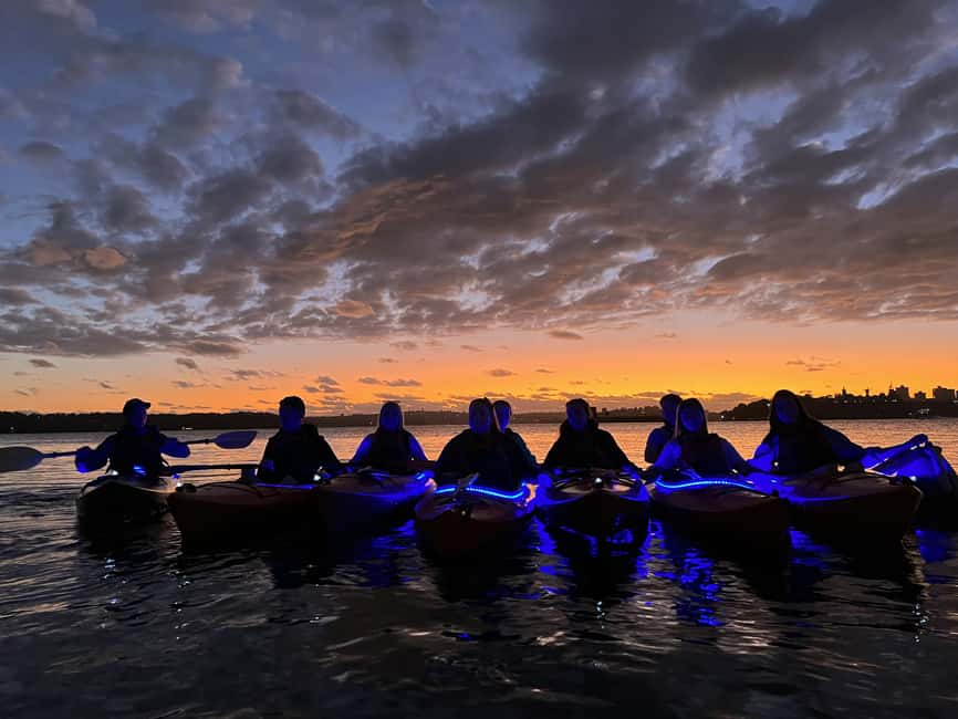 Sydney: Sunrise Kayak, Opera House & Under Harbour Bridge | GetYourGuide