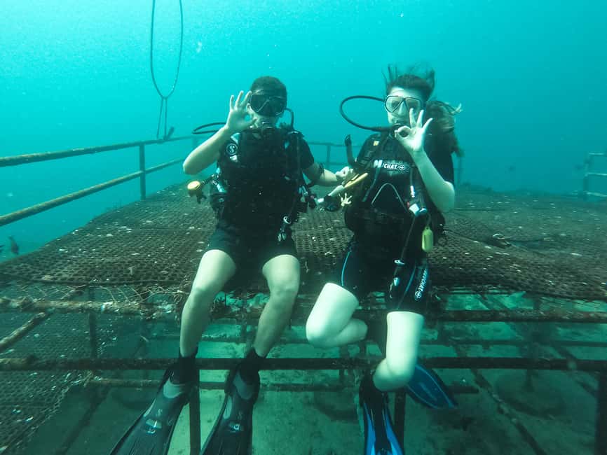 Jeddah: Red sea shore diving (Discovery) - Jeddah