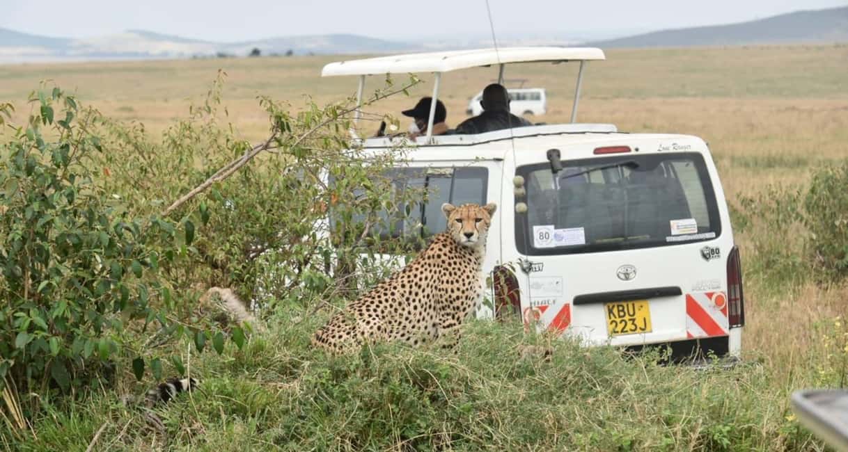 From Nairobi: 3-Day 2-Night Maasai Mara Group Safari in 4WD | GetYourGuide