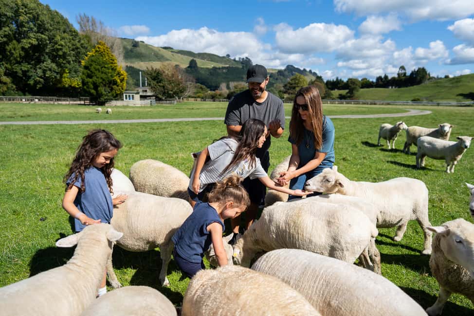 Rotorua: Authentic Kiwi Farm Experience at the Agrodome | GetYourGuide