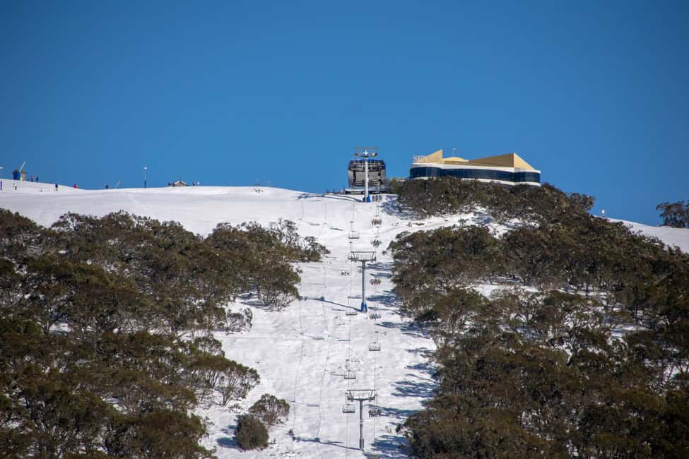 From Melbourne: Mount Buller Guided Day Tour | GetYourGuide