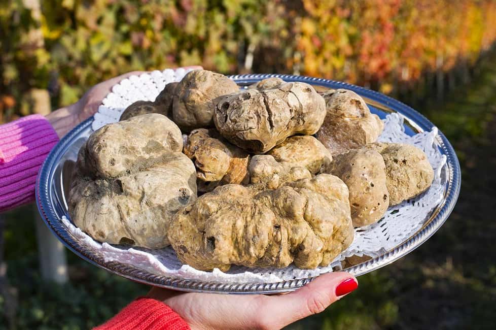 San Miniato: Truffles and Bike Tour with Local Guide | GetYourGuide