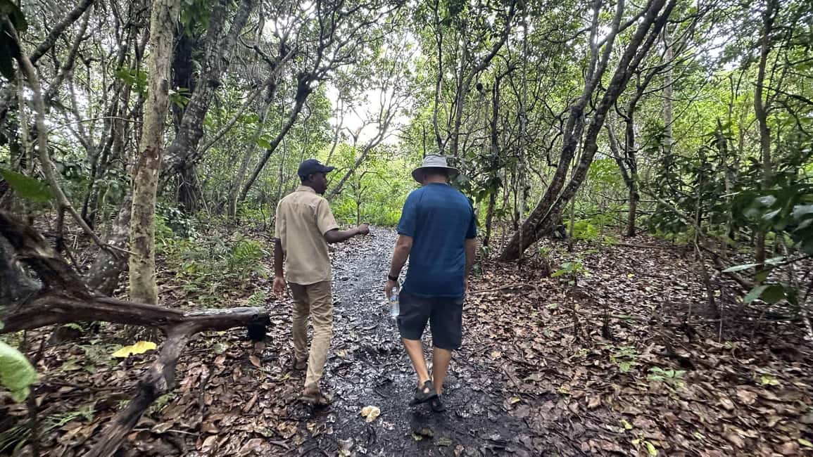 ZANZIBAR ; Excursion d'une journée dans la forêt de Jozani et le sanctuaire des tortues marines ...