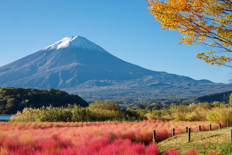 Full-Day Tour to the Picturesque Spots of Mount Fuji | GetYourGuide