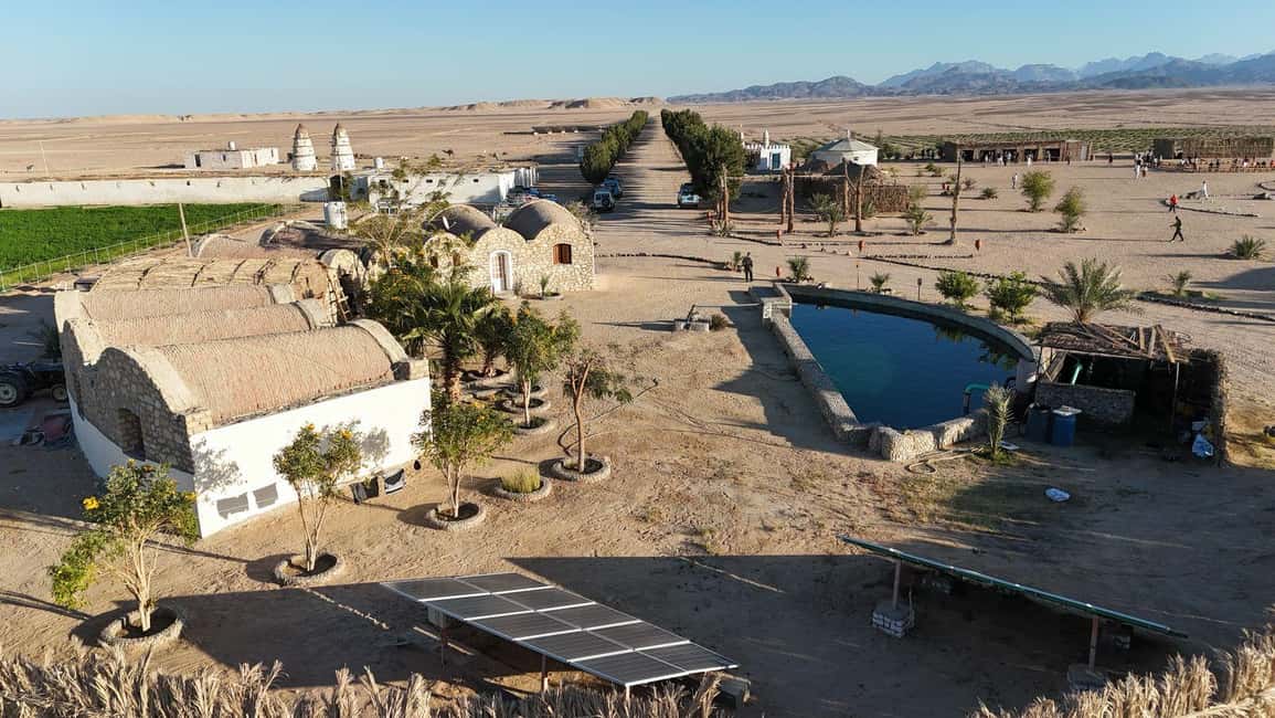 Hurghada Desert Oasis Adventure:Farm, Planting & Relaxation | GetYourGuide