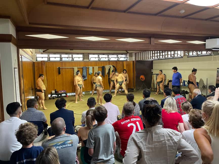 Sumo Wrestling Experience with Match and Challenge | GetYourGuide