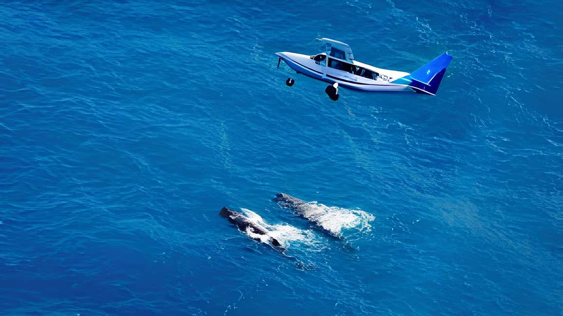 From Christchurch: Private Kaikoura Tour with Guide | GetYourGuide