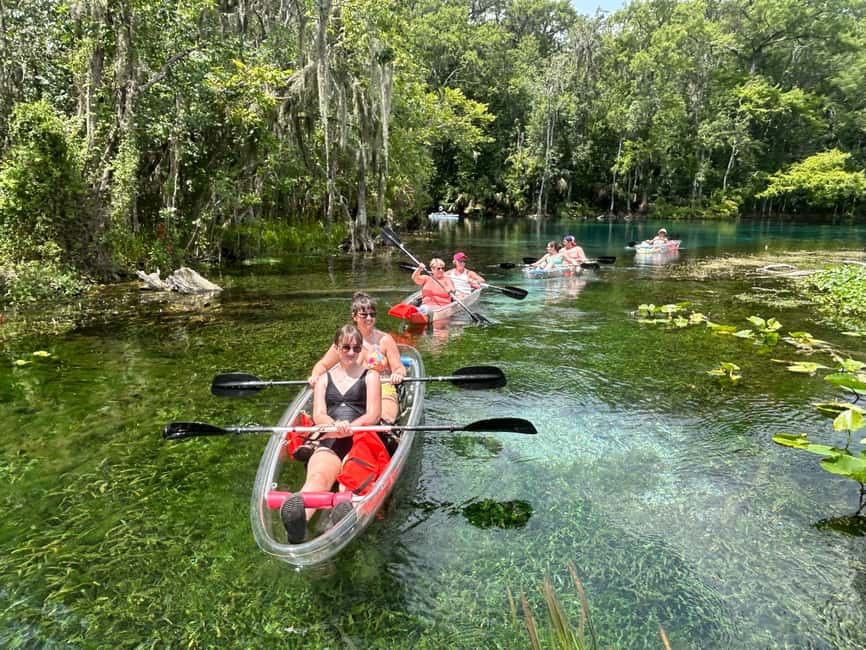 Silver Springs: Manatees and Monkeys Clear Kayak Guided Tour | GetYourGuide