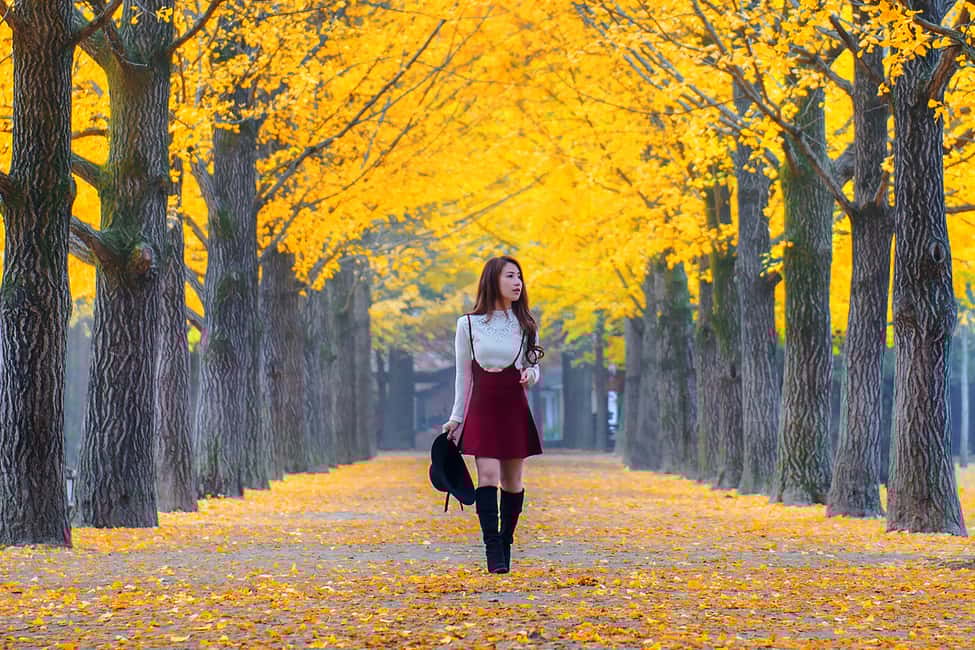 Eobi Ice Valley, Nami y Petite (+Festival de las Luces, Railbike ...