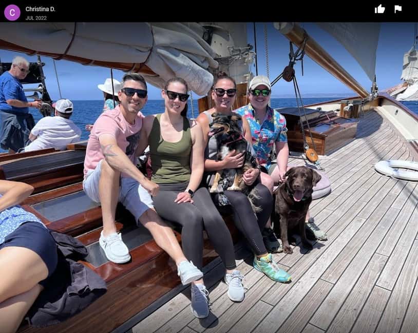 San Diego: Whale Watching Cruise on the Yacht America | GetYourGuide