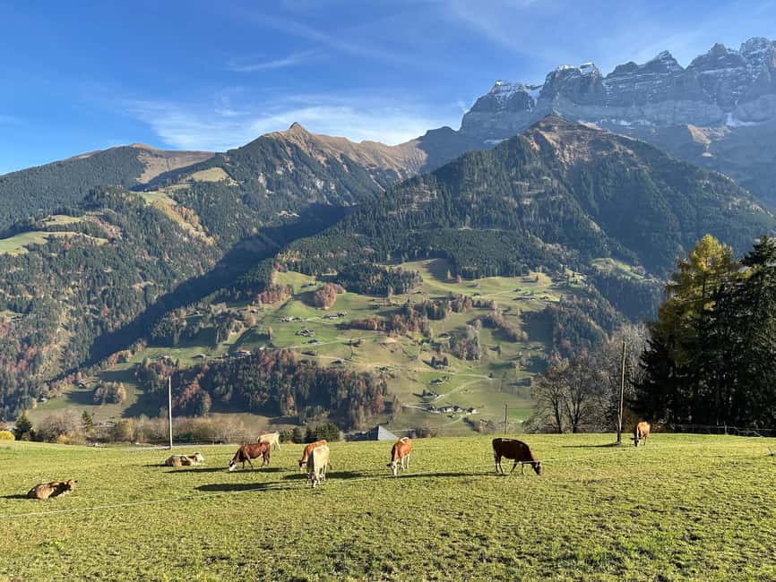 Basel: Local Cheese Tasting Tour with a Cheese Sommelier | GetYourGuide