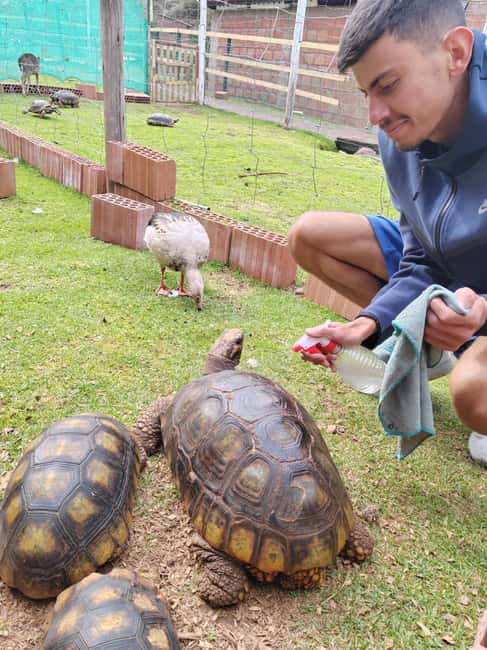 Cusco: Animal Sanctuary Tour with Rescued Animals | GetYourGuide