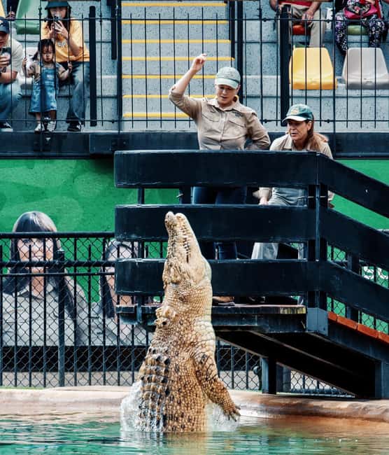 From Brisbane: Australia Zoo Transfer and Entry Ticket | GetYourGuide