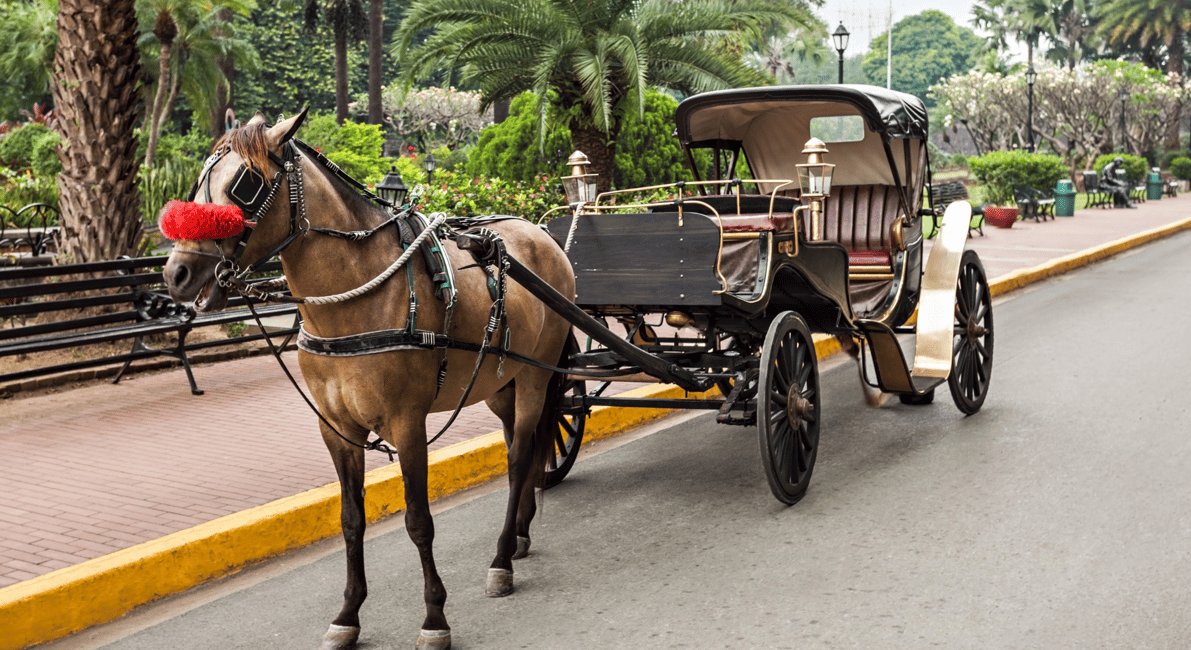 MANILA: HISTORICAL KALESA RIDE TOUR EXPERIENCE IN INTRAMUROS | GetYourGuide