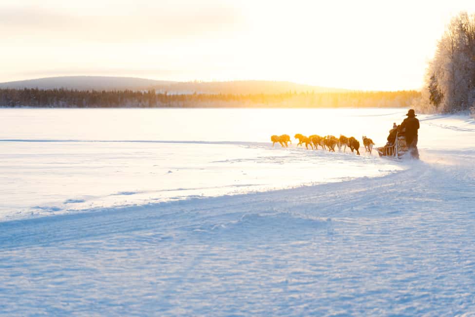 Rovaniemi: Insider 10 km Husky Sled Ride | GetYourGuide