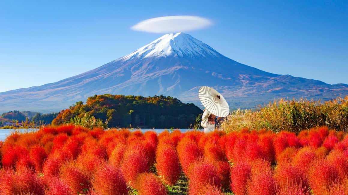 Full-Day Tour to the Picturesque Spots of Mount Fuji | GetYourGuide