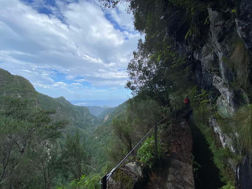 Madeira: PR 9 - Levada do Caldeirão Verde Hike Transfer | GetYourGuide