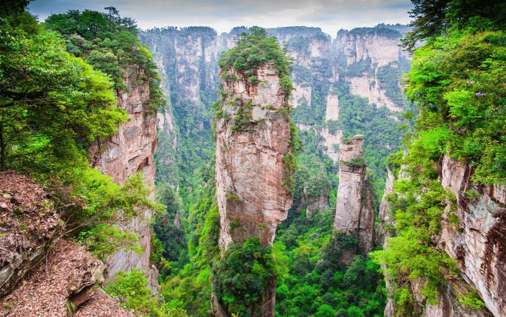 Zhangjiajie: Avatar Mountain Private or Shared Day Tour | GetYourGuide