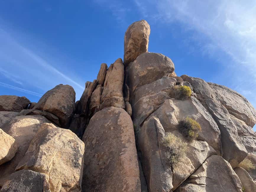 ¡Únete a nuestra aventura privada en el Parque Nacional de Joshua Tree ...