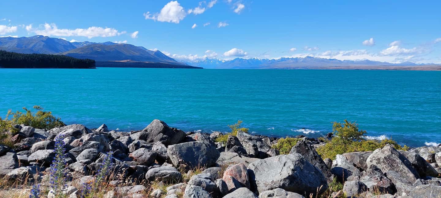 Aoraki Mount Cook: 10hrs or 7hrs Tour From Timaru | GetYourGuide