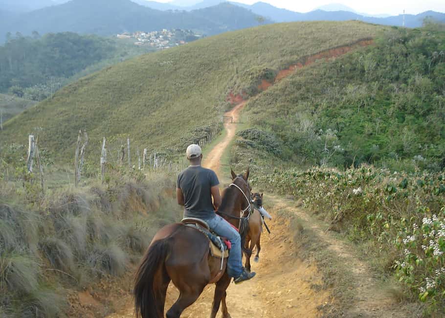Penedo: Horseback Riding Adventure on Penedo's Trails | GetYourGuide