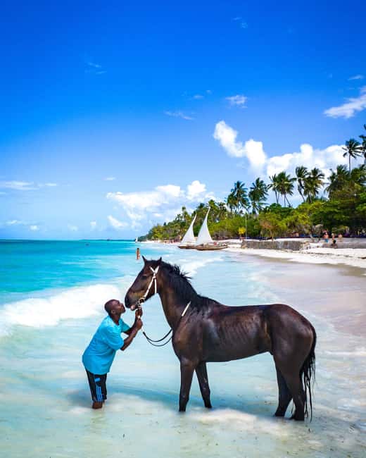 Zanzibar: Horseback Riding and Turtle Swimming Tour | GetYourGuide