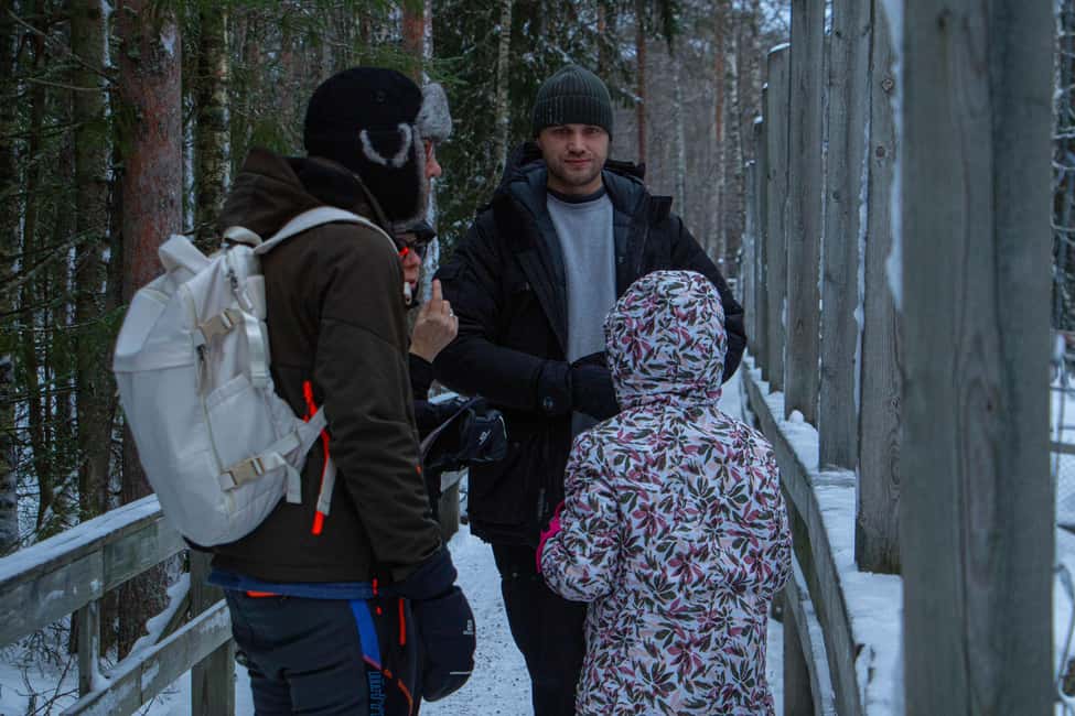 Ranua Wildlife zoo guided tour with lunch buffet included | GetYourGuide