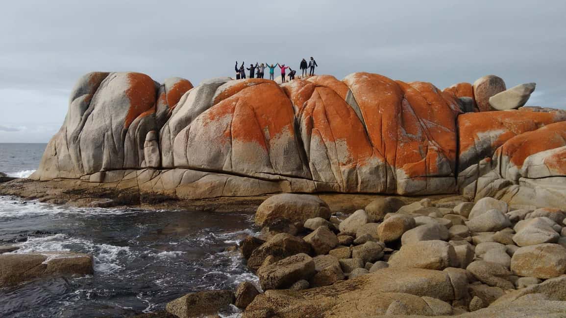 From Hobart: The Ultimate 10-Day Tour of Tasmania's Regions | GetYourGuide