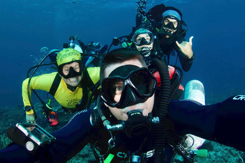 Agnes/1770: Southern Great Barrier Reef Scuba Diving Trip | GetYourGuide