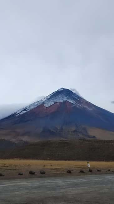 Cotopaxi Volcano: Visit from Quito, Alpaca, Lagoon and volcanoes ...