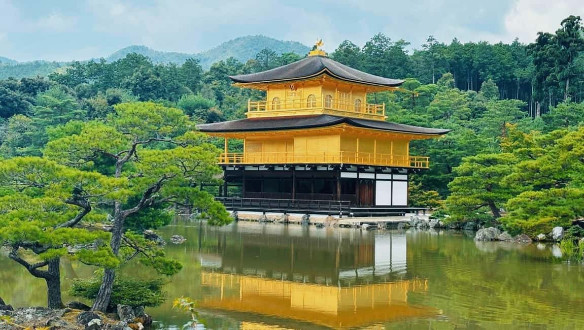 Kyoto/Nara: Family Cultural Tour with Local Experiences | GetYourGuide