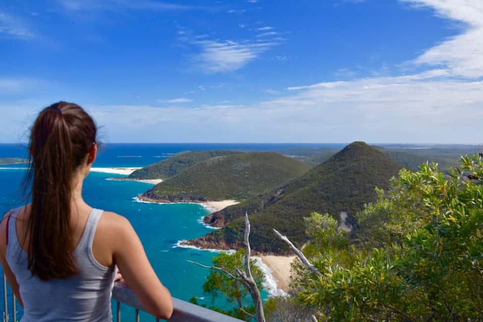 From Sydney: Port Stephens Day Trip | GetYourGuide