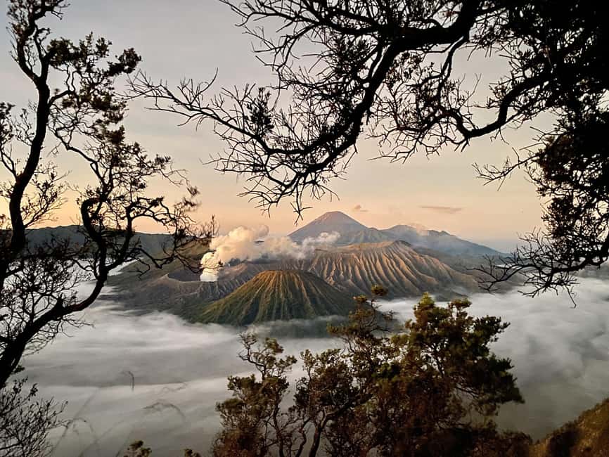 From Malang: Bromo Sunrise Jeep Tour | GetYourGuide