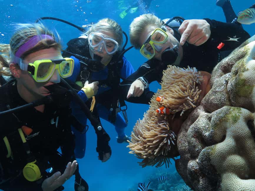 Outer Barrier Reef Full Day with transfers from Cairns | GetYourGuide