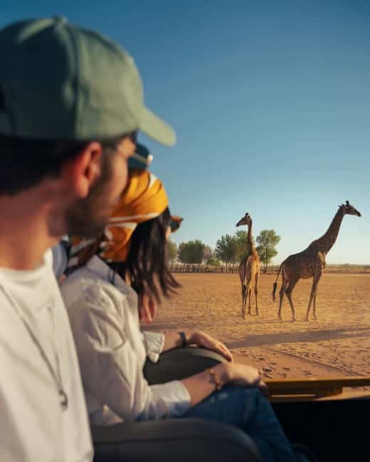 From Riyadh: Nofa Wildlife Park Private Day Trip | GetYourGuide