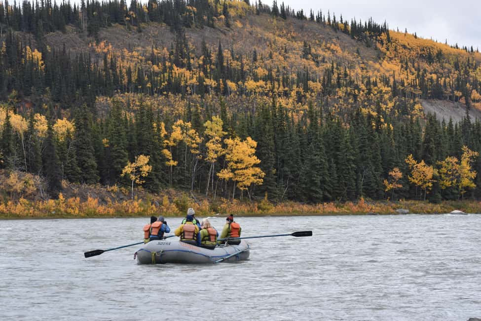 Wilderness: Denali National Park Class I-III Rafting Tour | GetYourGuide